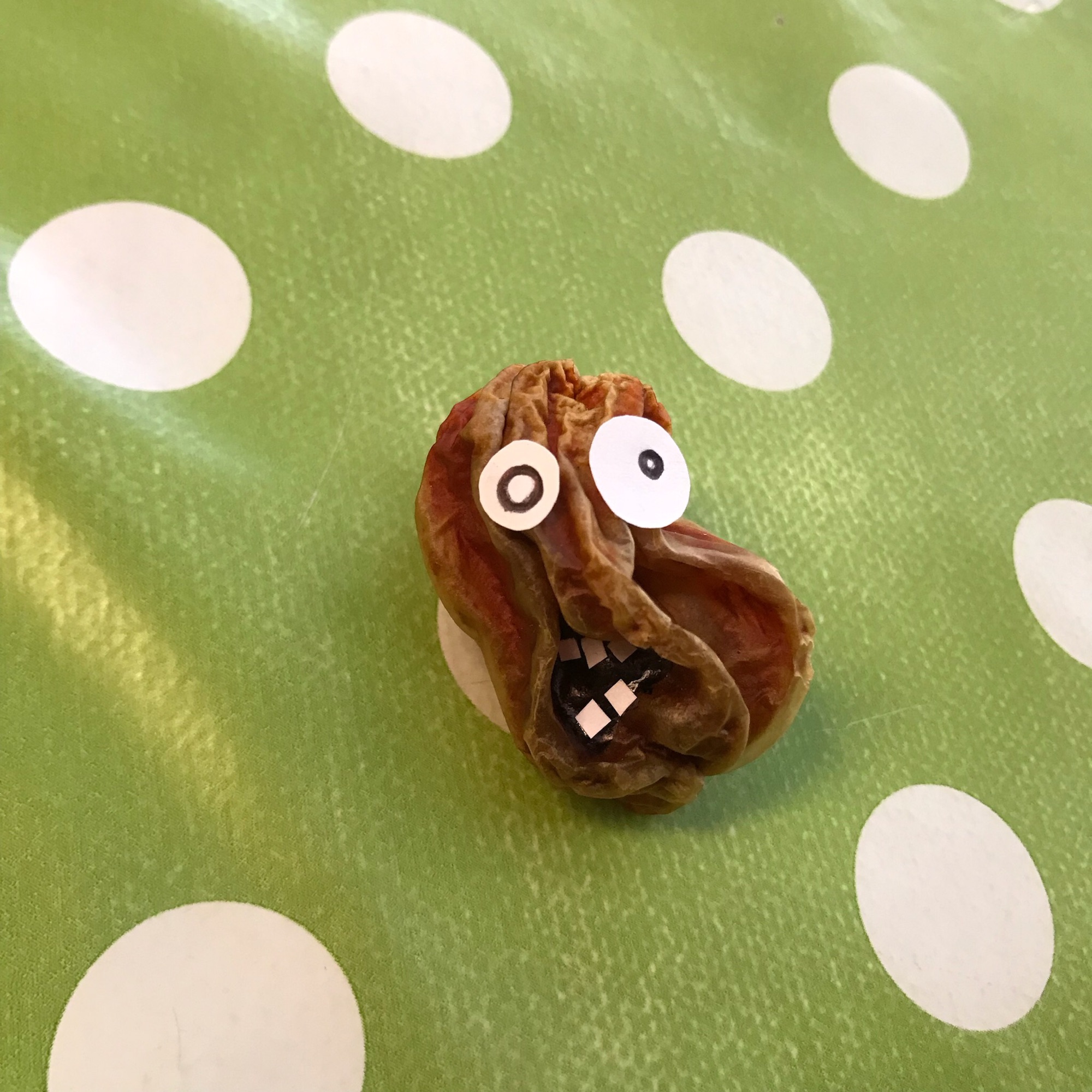 characters – Scruffy Puppets